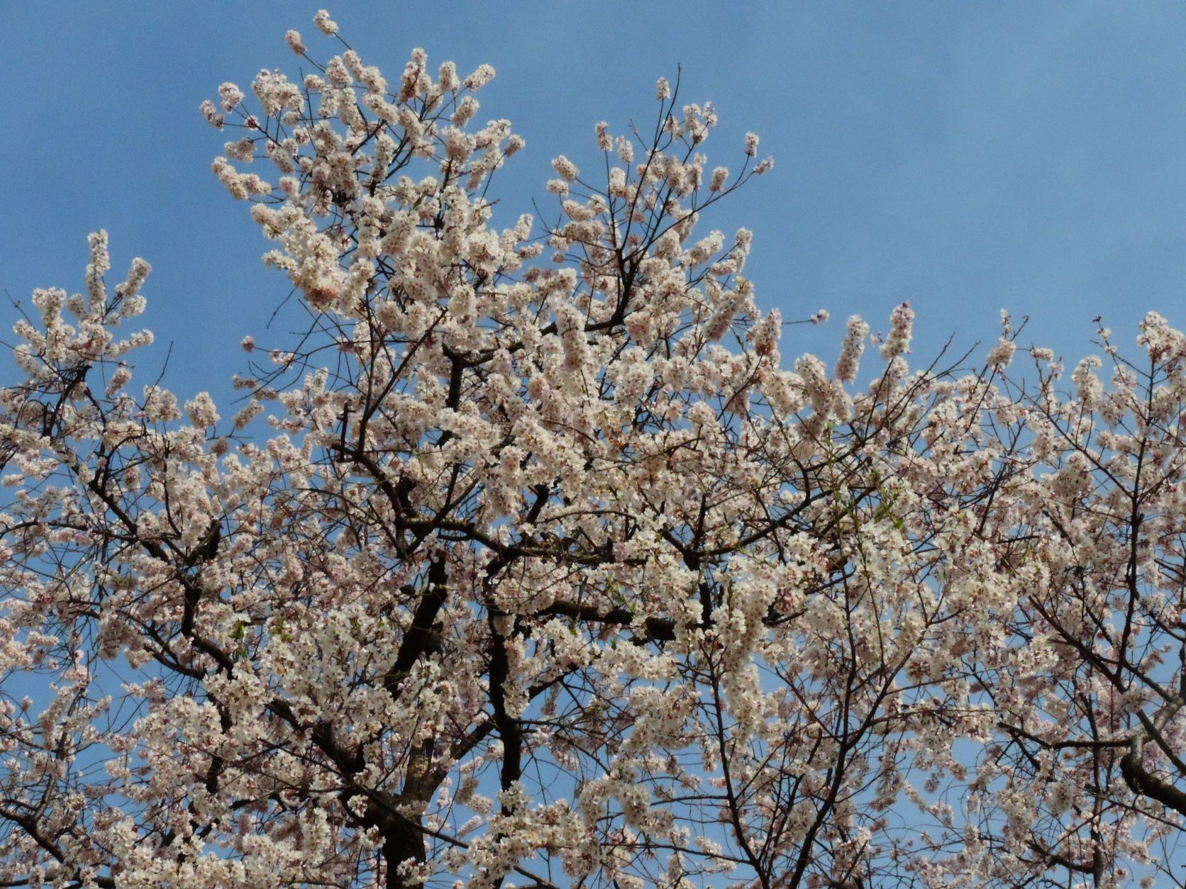 令和4年5月18日作成